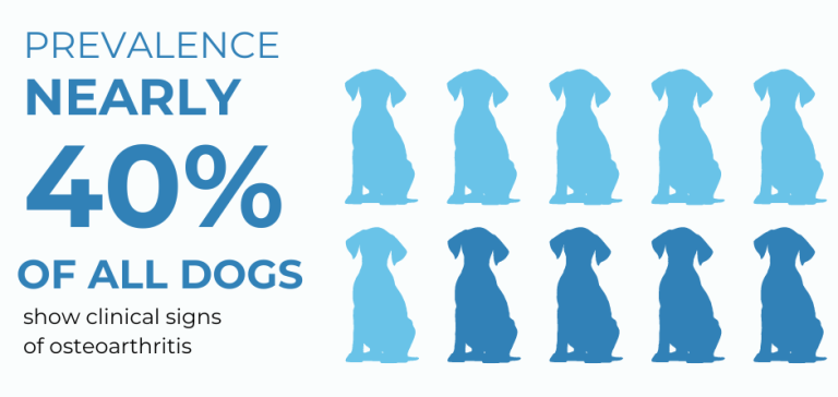 Osteoarthritis in Dogs & Signs of Pain