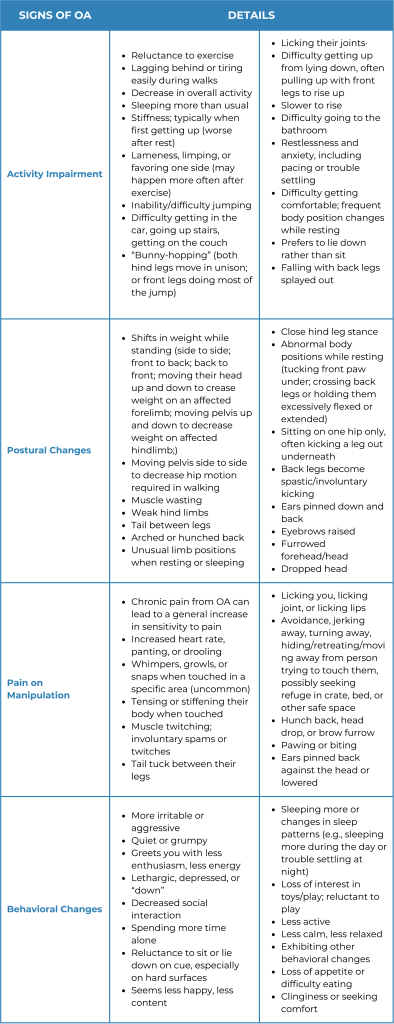 Osteoarthritis in Dogs & Signs of Pain