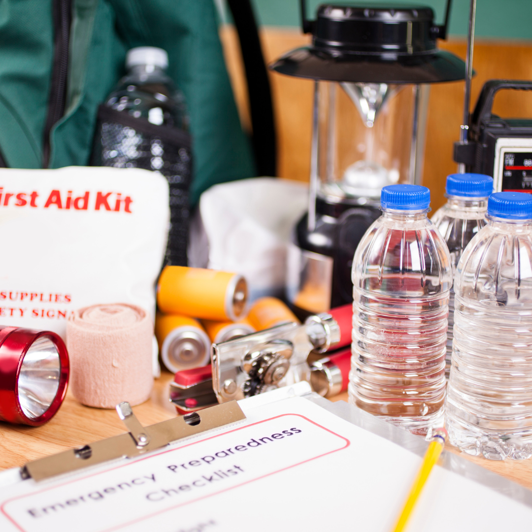 Disaster Preparedness for Pet Owners: How to Build a Pet Emergency Kit
