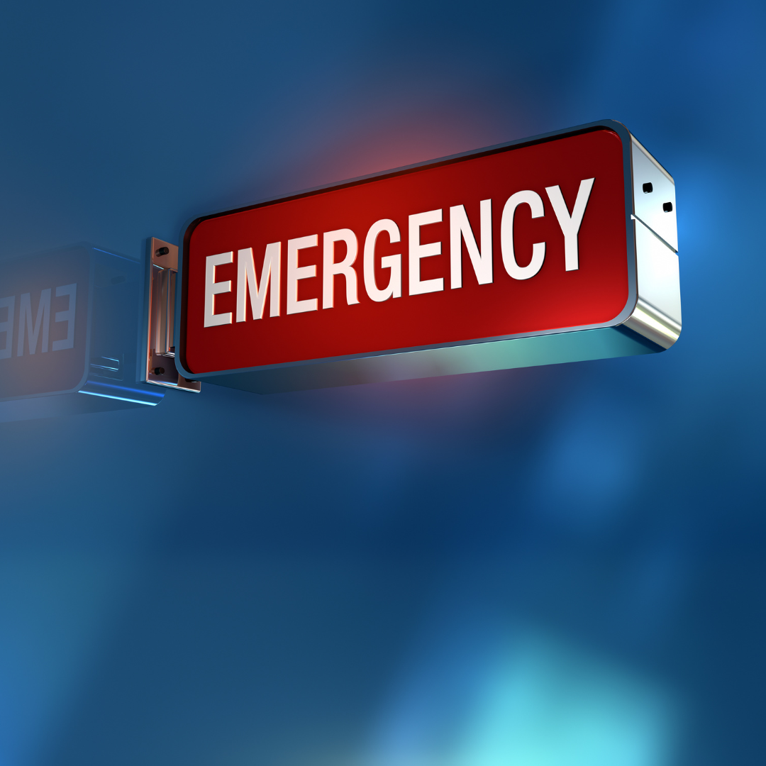 Emergency Decision Guide - WoofDoctor on Wheels